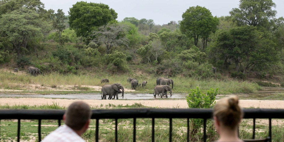 Kruger Safari From Nelspruit - Compare 10 Tours