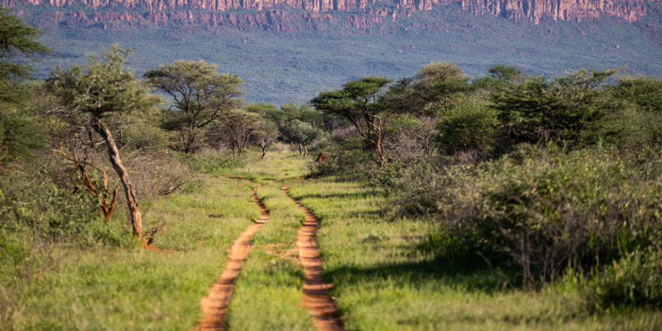 Waterberg Biosphere Reserve – Best Time To Visit, Wildlife & More!