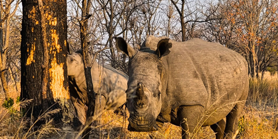 Mosi-oa-Tunya National Park – Travel Guide, Map & More!