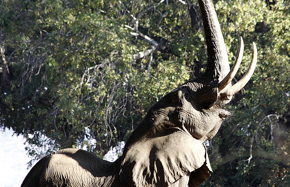 Matobo NP Map – Detailed Map of Matobo National Park