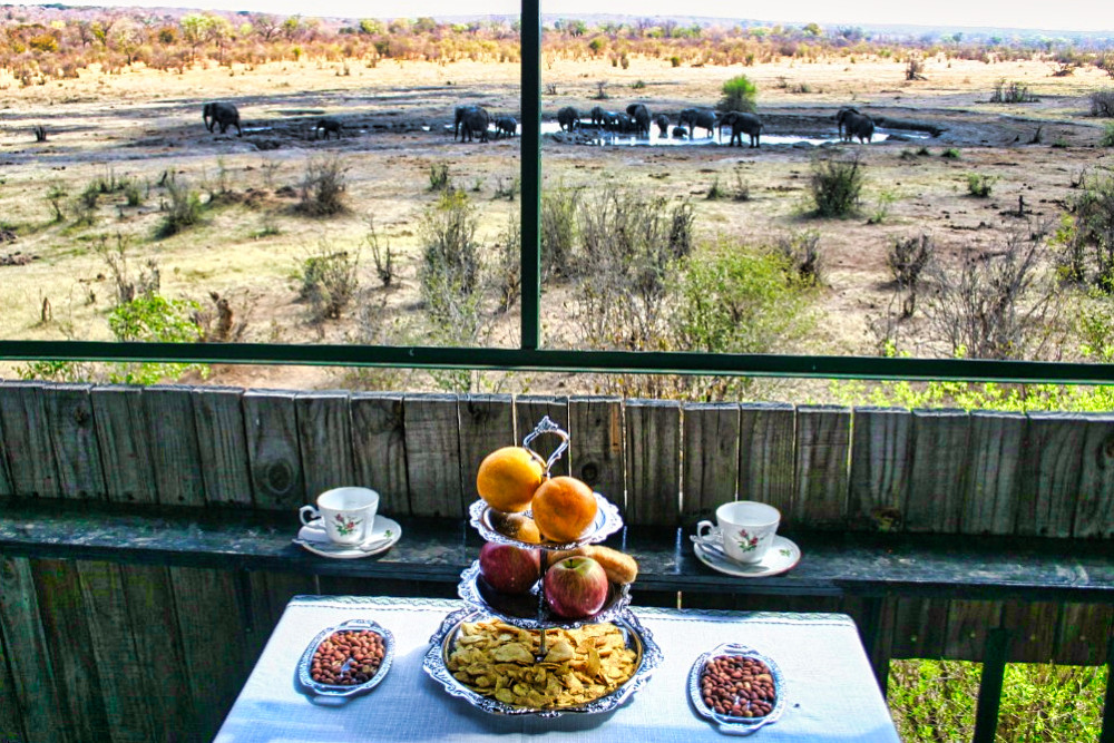 Zimbabwe Safari: ½-Day Unique High Tea Safari Game Drive in the Savannah