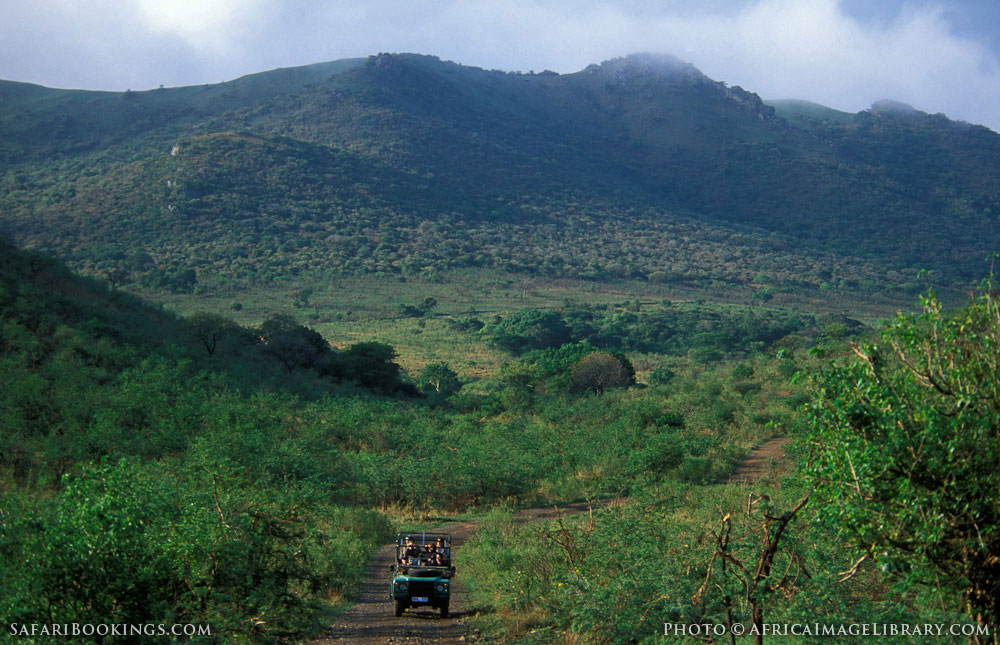 Hluhluwe-iMfolozi Game Reserve – Travel Guide, Map & More!