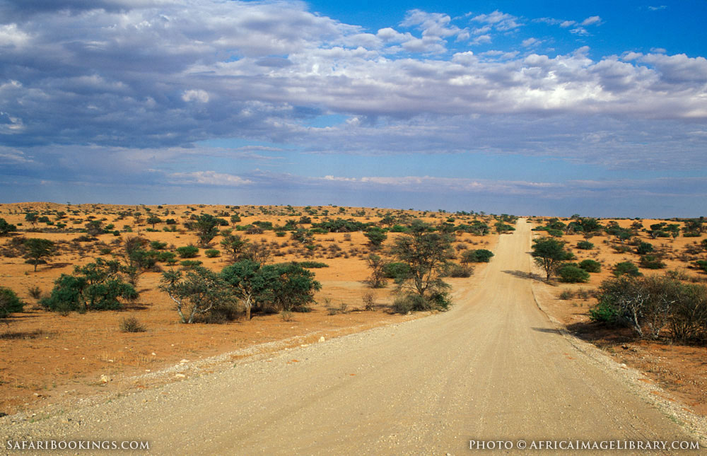 Kgalagadi Transfrontier Park – Travel Guide, Map & More!