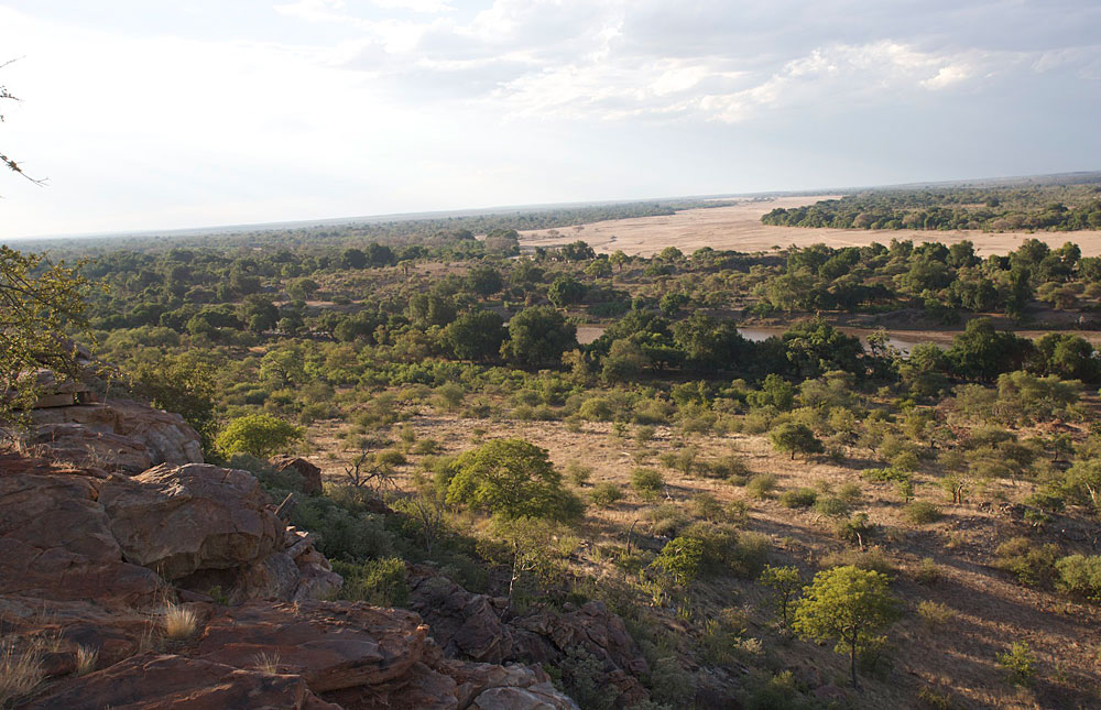 Mapungubwe National Park – Travel Guide, Map & More!