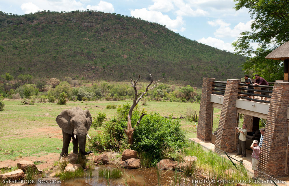 Pilanesberg Game Reserve – Travel Guide, Map & More!