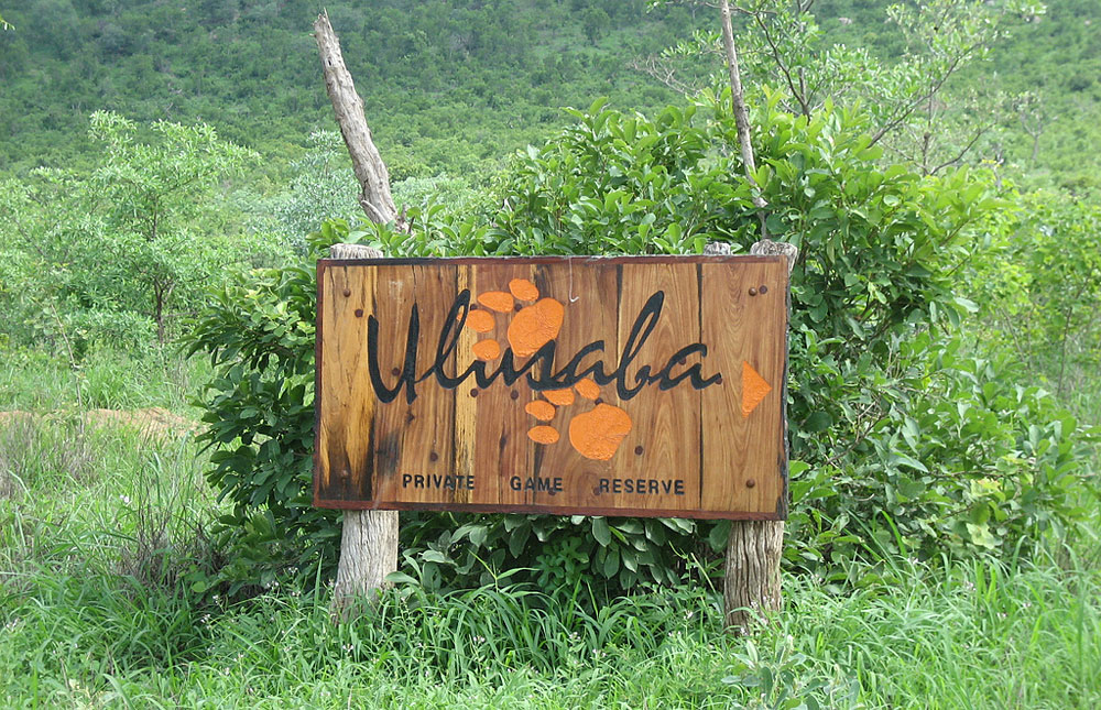 Ulusaba GR Photos – Images & Pictures