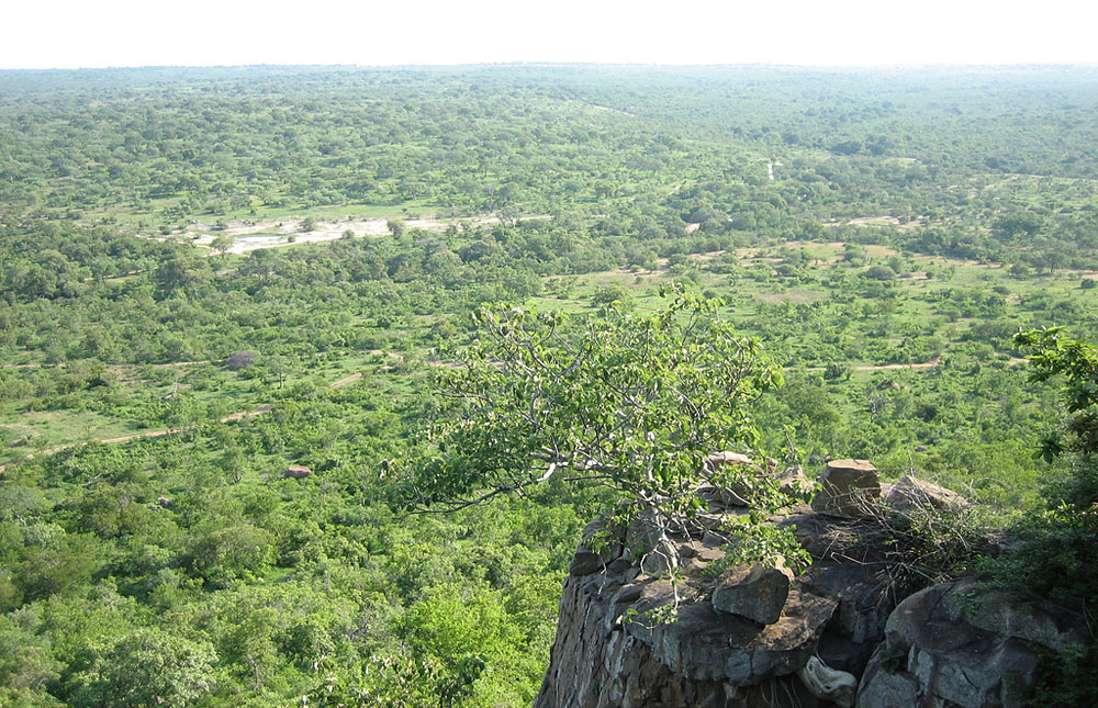 Ulusaba GR Photos – Images & Pictures