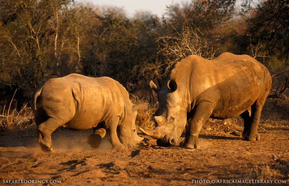 Waterberg Biosphere Reserve – Travel Guide, Map & More!