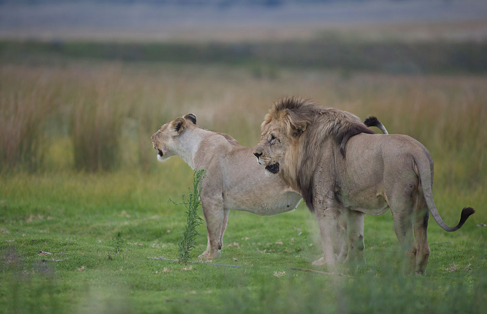 South Africa Wet Season Photos – Award winning images & pictures!