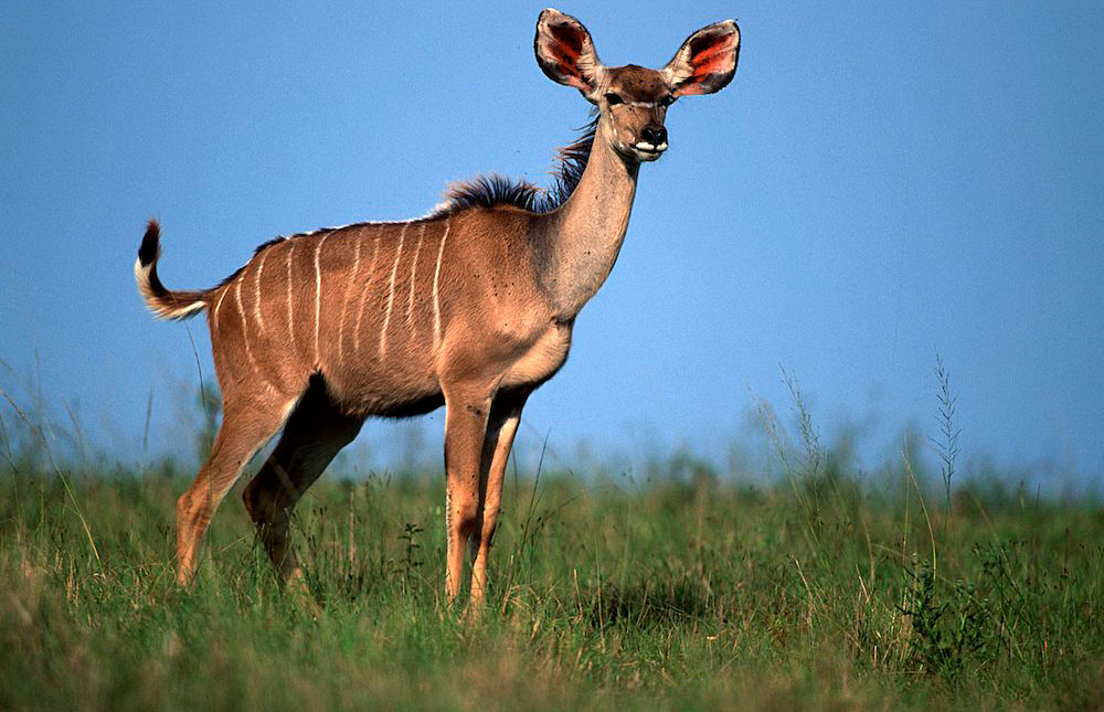 Weenen GR Photos – Images & Pictures