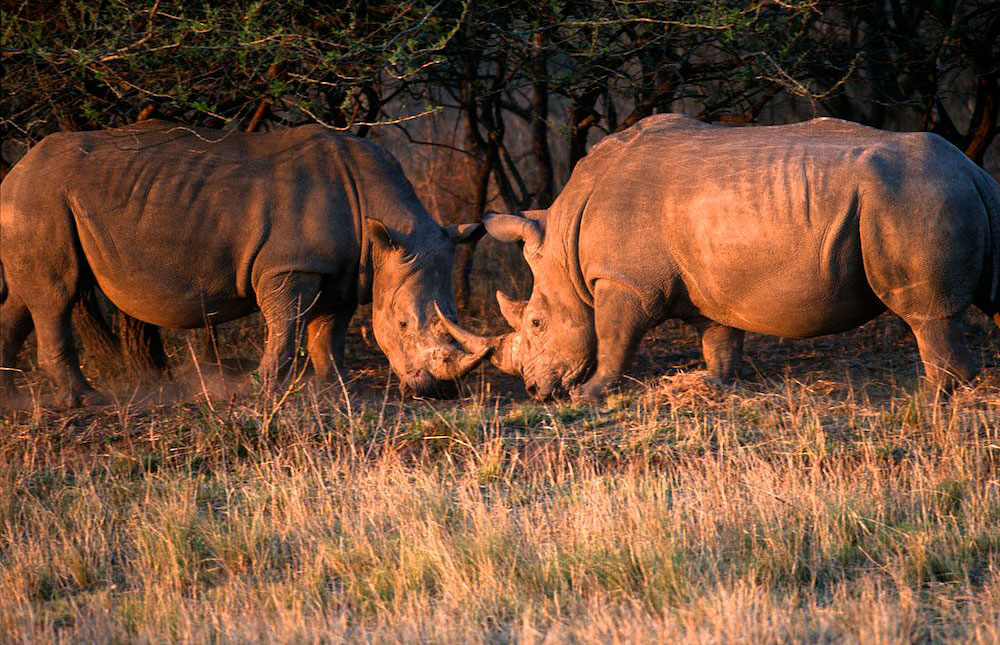 Weenen GR Photos – Images & Pictures