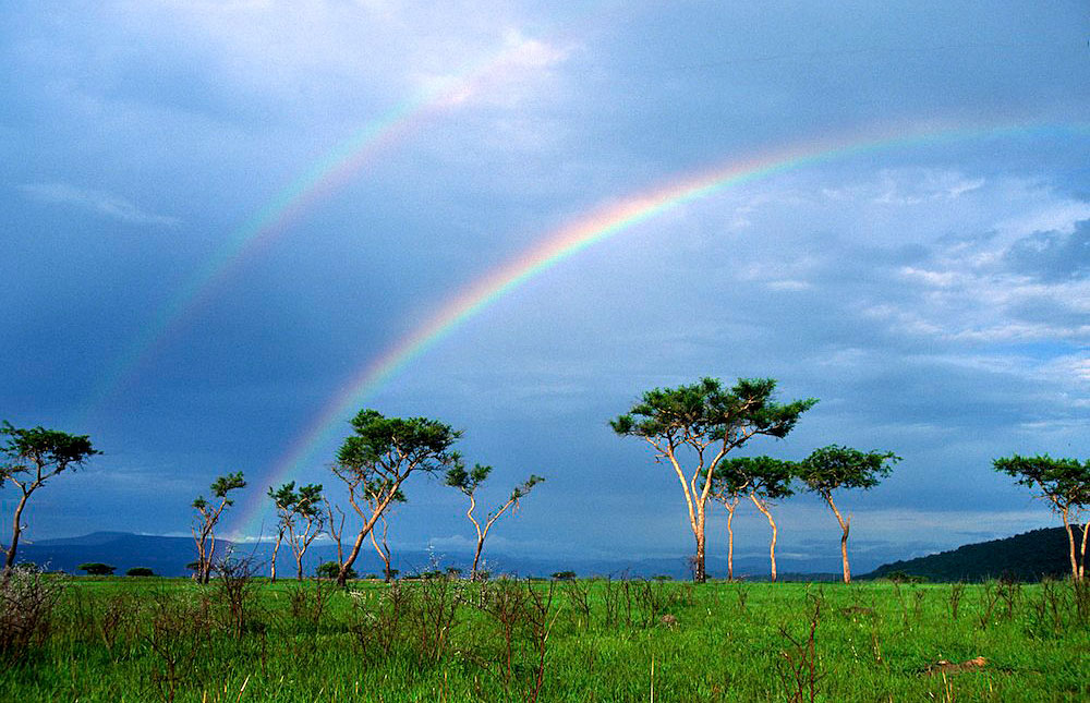 Weenen GR Photos – Images & Pictures