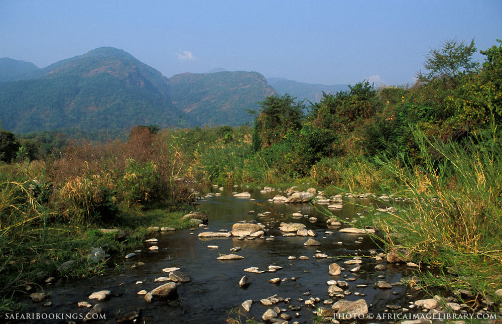 Mahale Mountains National Park – Travel Guide, Map & More!