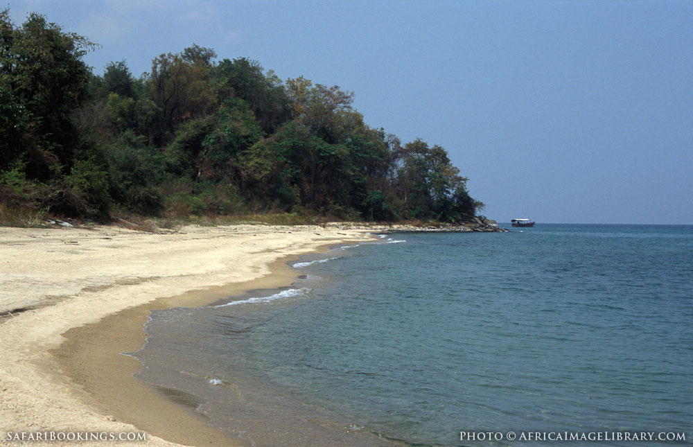 Mahale Mountains National Park – Travel Guide, Map & More!