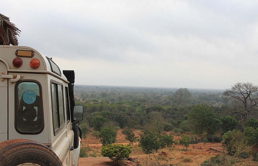 Mkomazi NP Photos – Images & Pictures