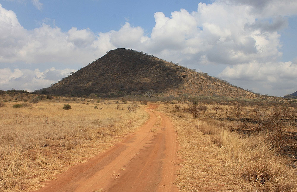 Mkomazi NP Photos – Images & Pictures