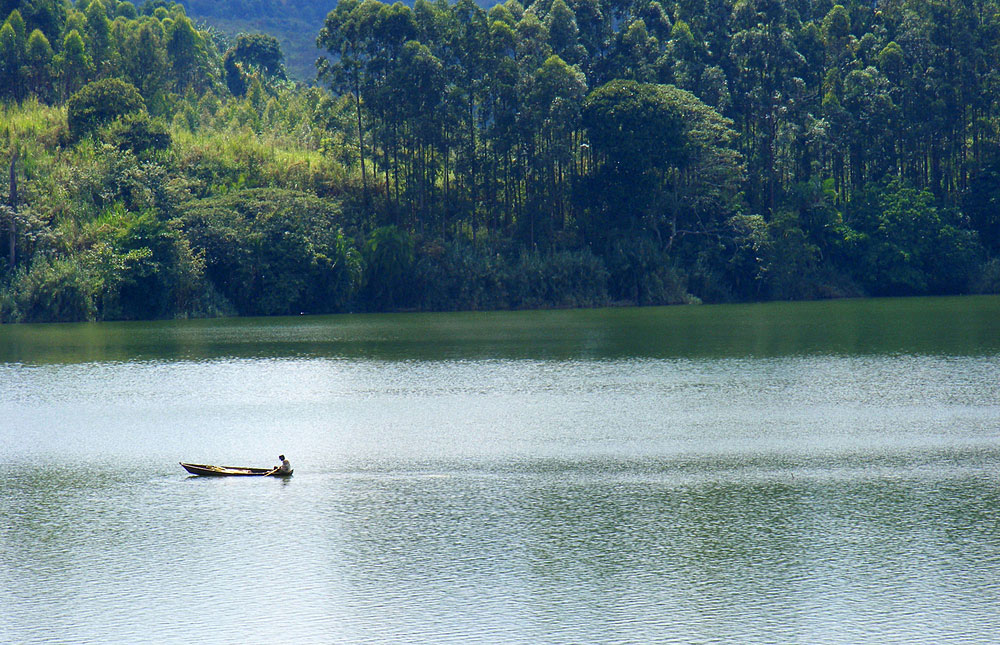 Kibale Forest National Park – Travel Guide, Map & More! Kibale Forest National Park – Travel Guide, Map & More!