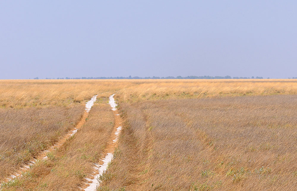 Liuwa Plain National Park – Travel Guide, Map & More!