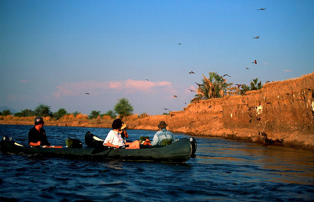 Mana Pools National Park – Travel Guide, Map & More!