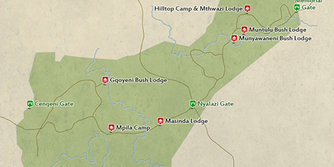 Hluhluwe-iMfolozi Park – Travel Guide, Map & More!