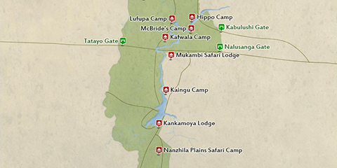 Kafue National Park – Travel Guide, Map & More!