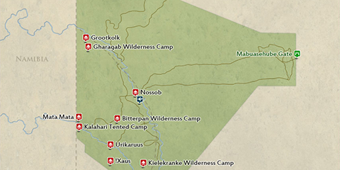Kgalagadi Transfrontier Park – Travel Guide, Map & More!
