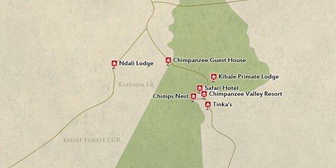Kibale National Park – Travel Guide, Map & More!