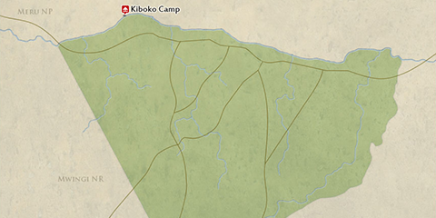 Kora National Park – Best Time to Visit, Wildlife & More!