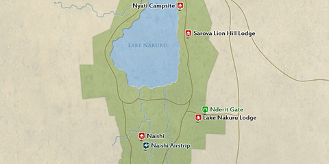 Lake Nakuru National Park – Travel Guide, Map & More!