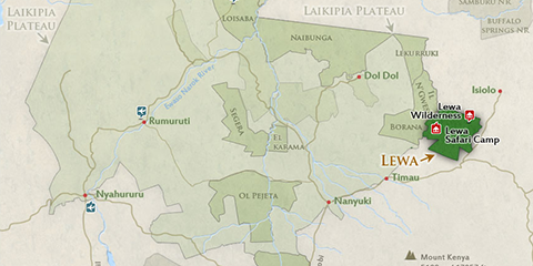 Lewa Wildlife Conservancy – Travel Guide, Map & More!