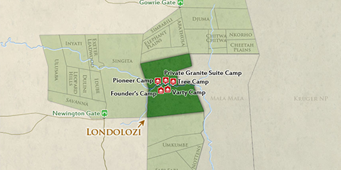 Londolozi Private Game Reserve – Best Time To Visit, Wildlife & More!