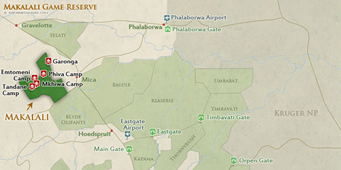 Greater Makalali Private Game Reserve – Travel Guide, Map & More!