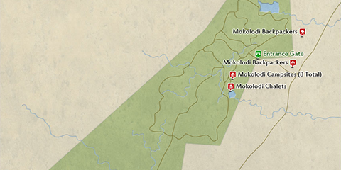 Mokolodi Nature Reserve – Travel Guide, Map & More!