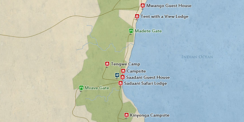 Saadani National Park – Travel Guide, Map & More!