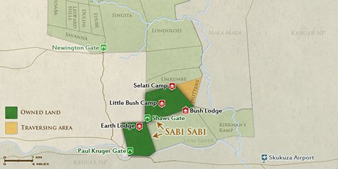 Sabi Sabi Private Game Reserve – Best Time To Visit, Wildlife & More!