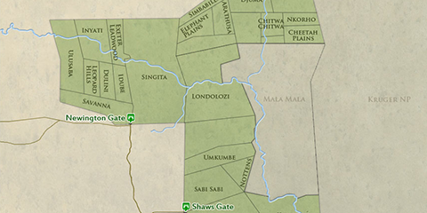 Sabi Sand Nature Reserve – Travel Guide, Map & More!