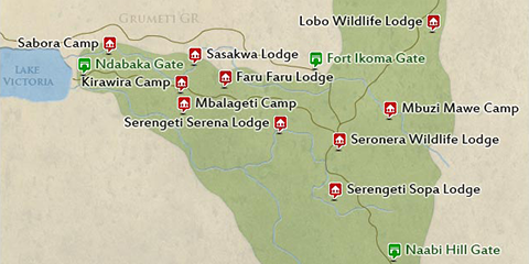 Serengeti National Park – Travel Guide, Map & More!