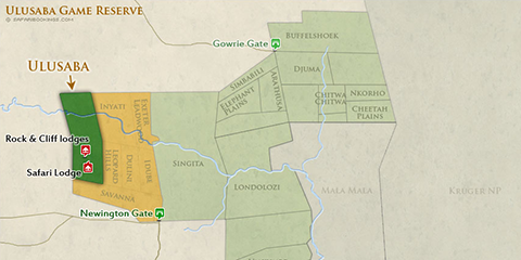 Ulusaba Private Game Reserve – Best Time To Visit, Wildlife & More!