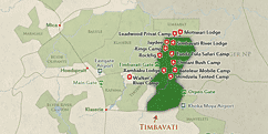 Timbavati Nature Reserve – Travel Guide, Map & More!
