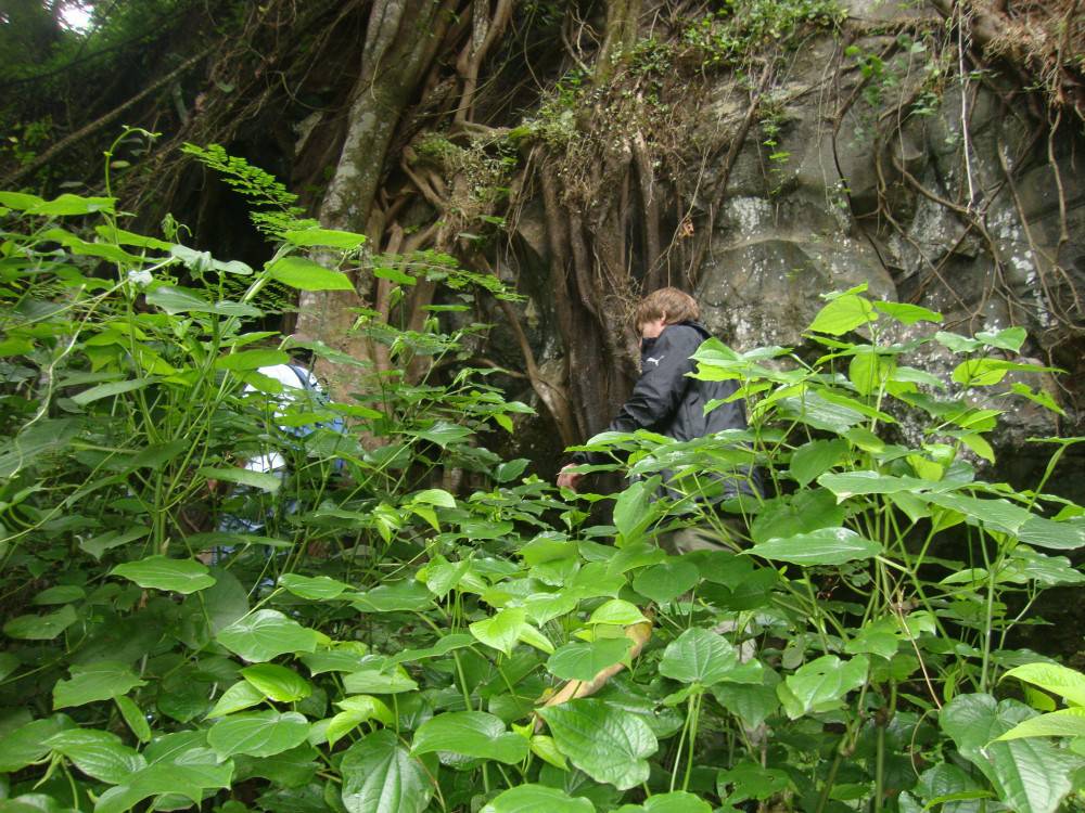 Magamba Eco-Cultural Tourism (Tanzania) – Be the First to Write a Review